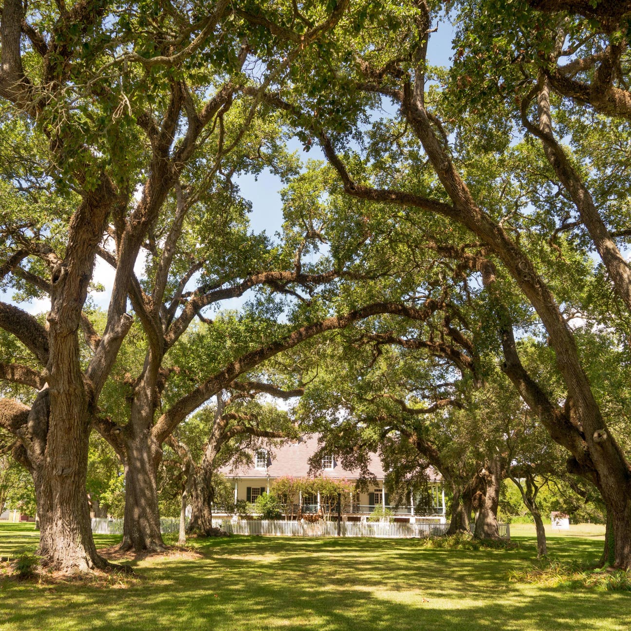 Homes for Sale in Montrose Alabama | Local Property Inc.